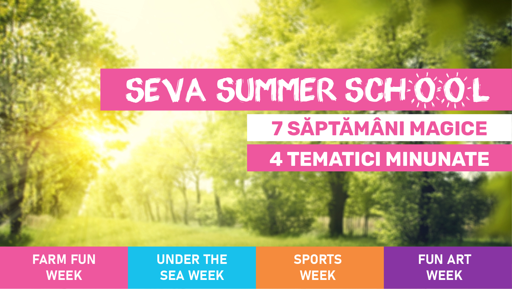 Înscrieri - Seva School